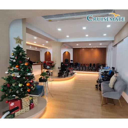 รถเข็นไฟฟ้า วีลแชร์ไฟฟ้า Cruisemate เกรดPremium ลดกว่า40%วิศวกร